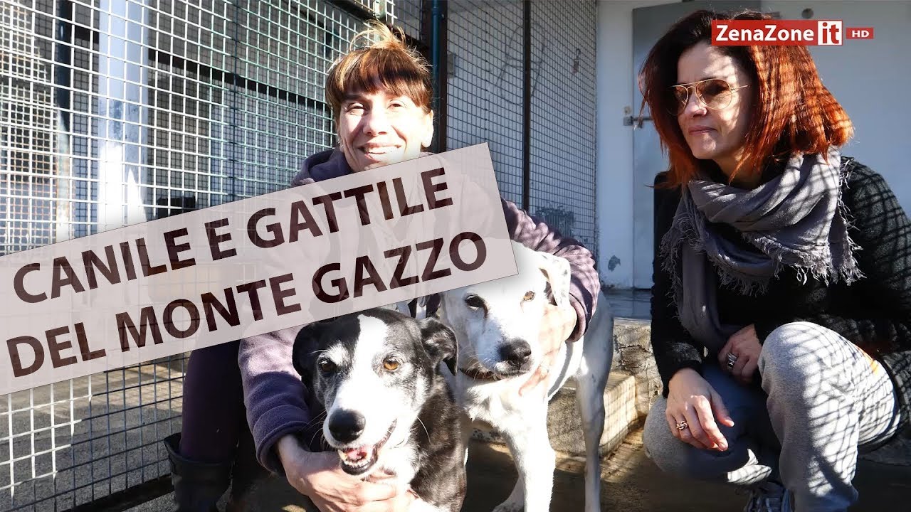 ZenaZone • 10 minuti con noi al Canile del Monte Gazzo di Genova